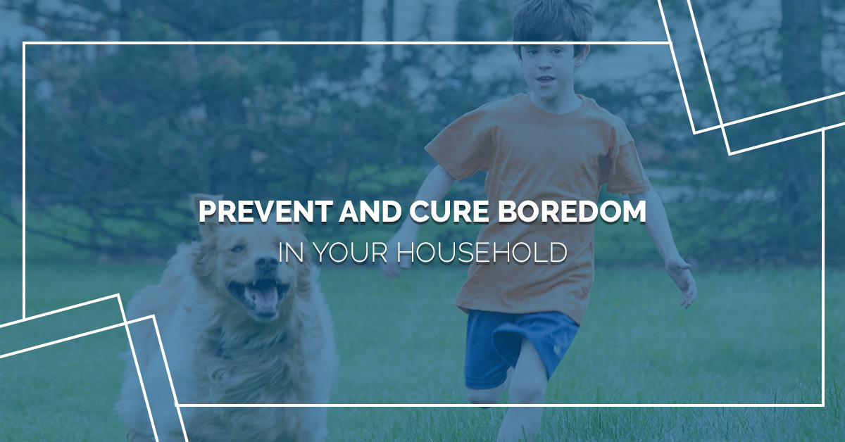 Indoor Trampoline Park - Know the Signs and Cure for Boredom ...